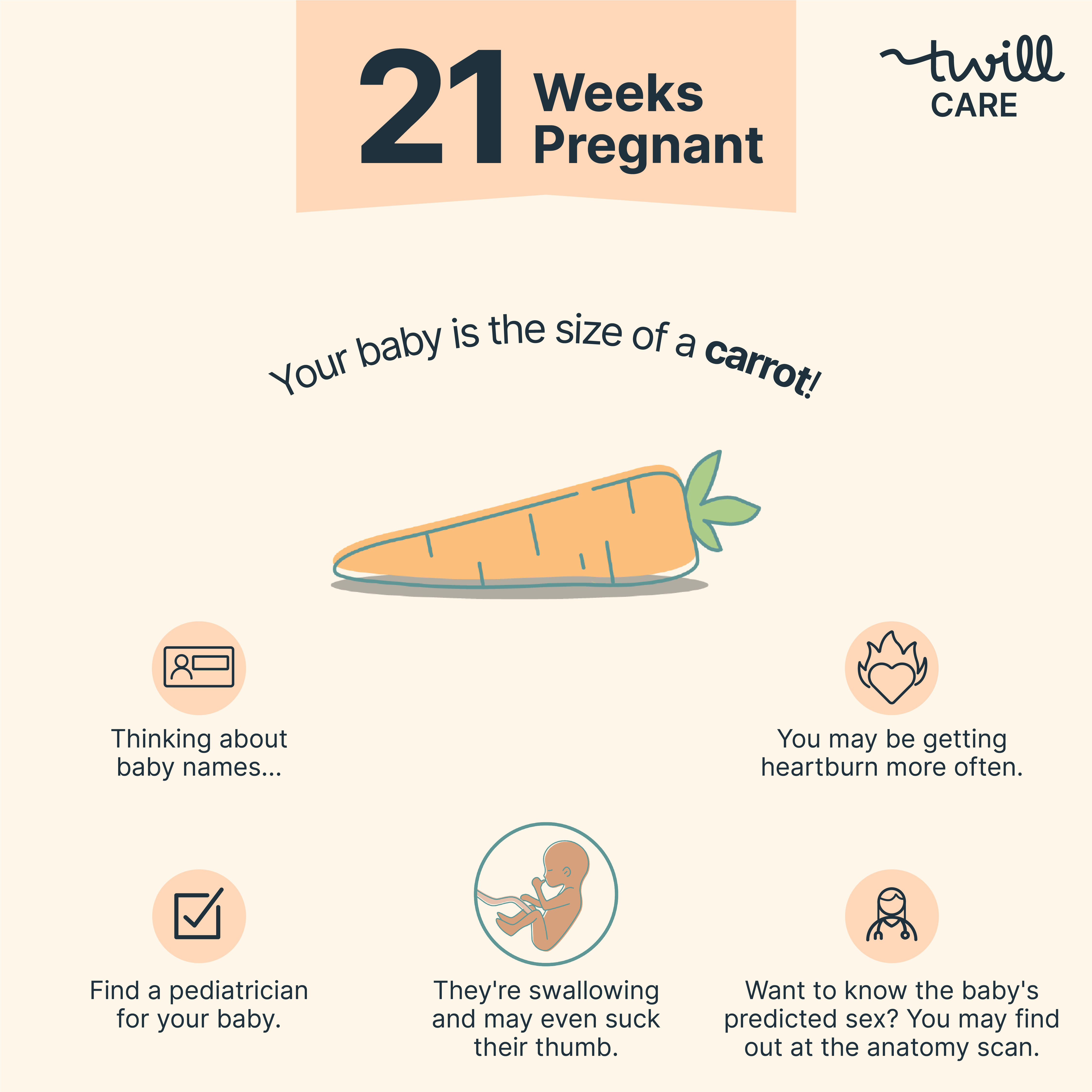 21 Weeks Pregnant Pregnancy Week by Week Twill Care 21 Weeks Pregnant Pregnancy Week by Week Twill Care
