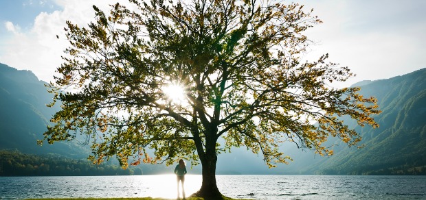 How to Be Authentically You in Any Situation