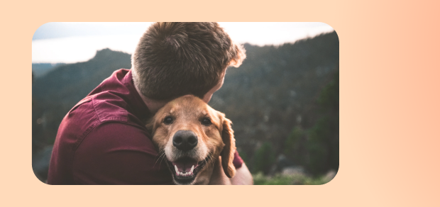 How to Handle Your Grief Over Losing a Pet