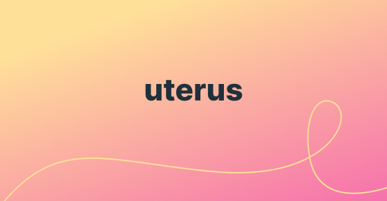 What Is the Uterus? | Uterus Definition and Meaning - Twill Care