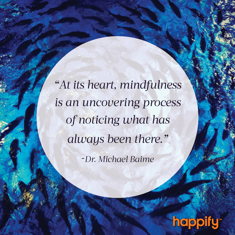 What Are You Missing By Not Being Mindful? - Dr. Michael Baime